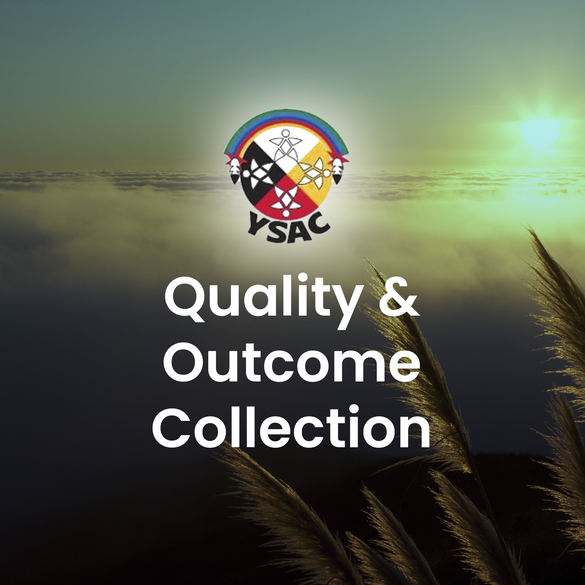 Quality & Outcome Collection – YSAC