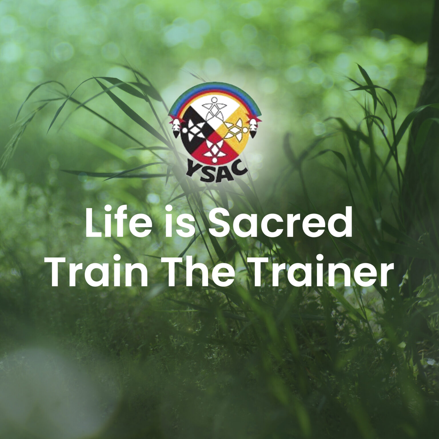 YSAC – Youth Substance Addiction Committee