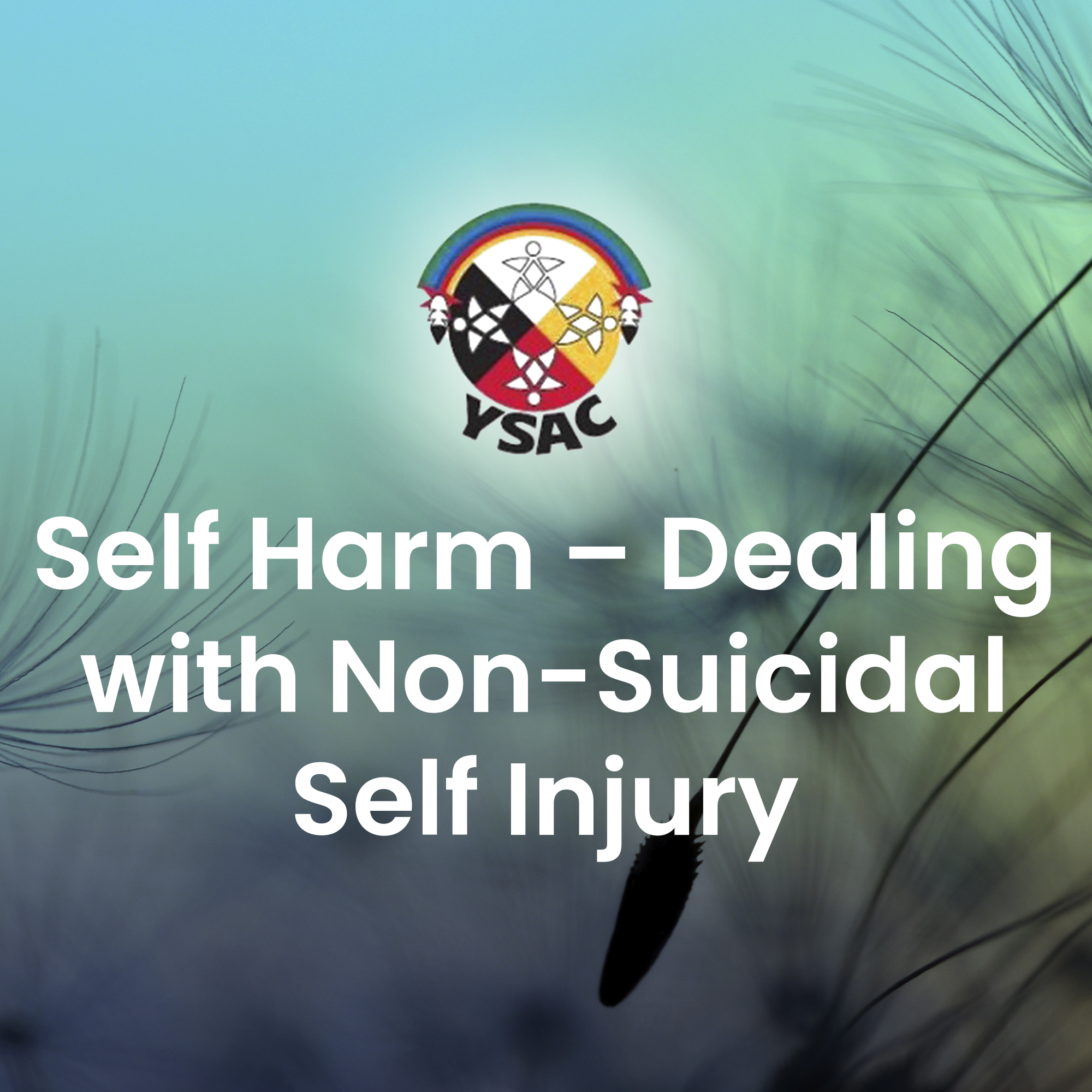 Self Harm: Dealing with Non-Suicidal Self Injury – YSAC